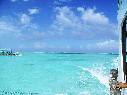 Nylon Pool - Most Amazing Wonders